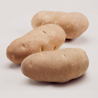 Ranger Russet Potatoes | Idaho Potato Commission